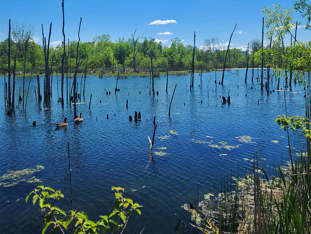 About Dalen Products | Best home gardening care