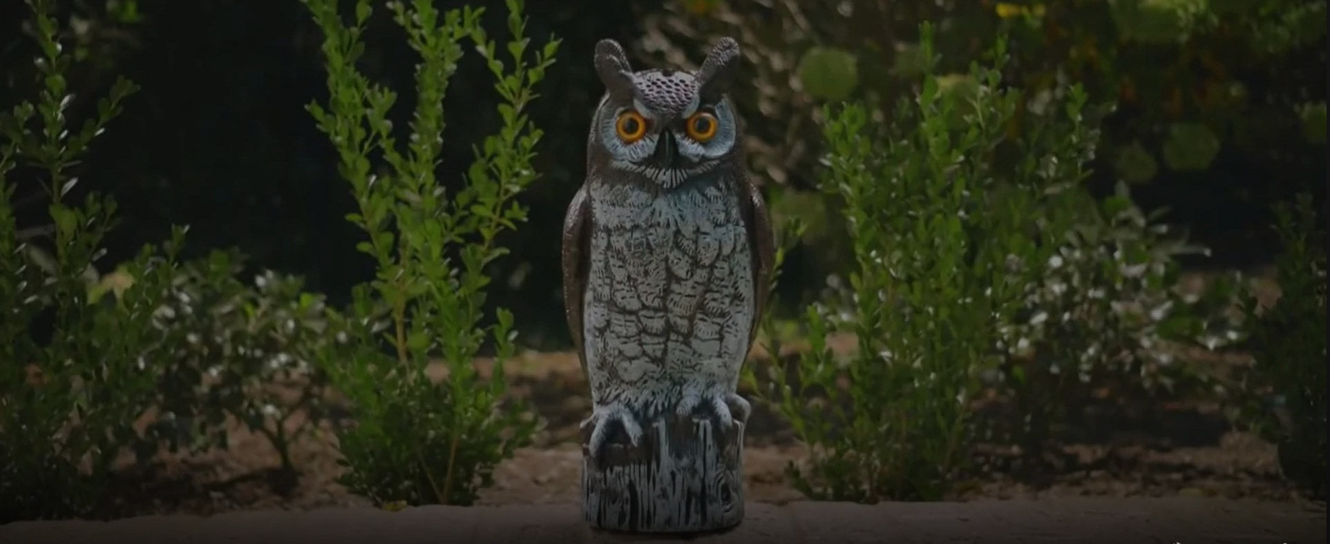 Owls & Natural Scaring Devices - Made in USA Protective Owls for Birds ...