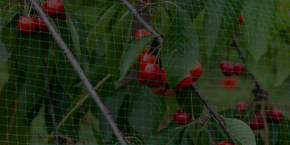 PEST CONTROL - Dalen Products