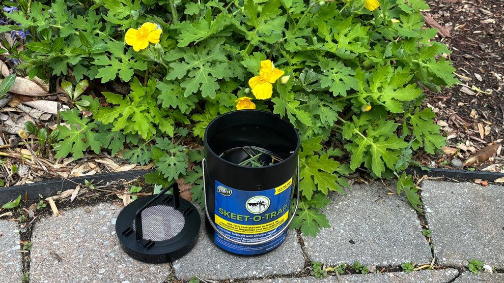 SKEET-O-TRAP Unique Mosquito Repellent Ovitrap for Yard or Garden ...
