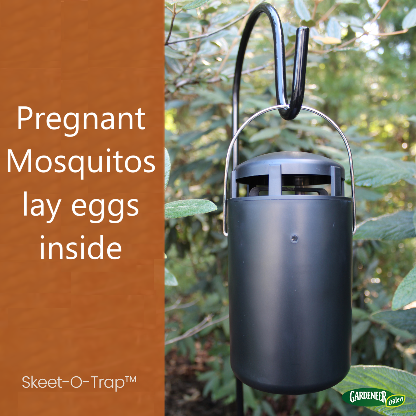 SKEET-O-TRAP Unique Mosquito Repellent Ovitrap for Yard or Garden ...