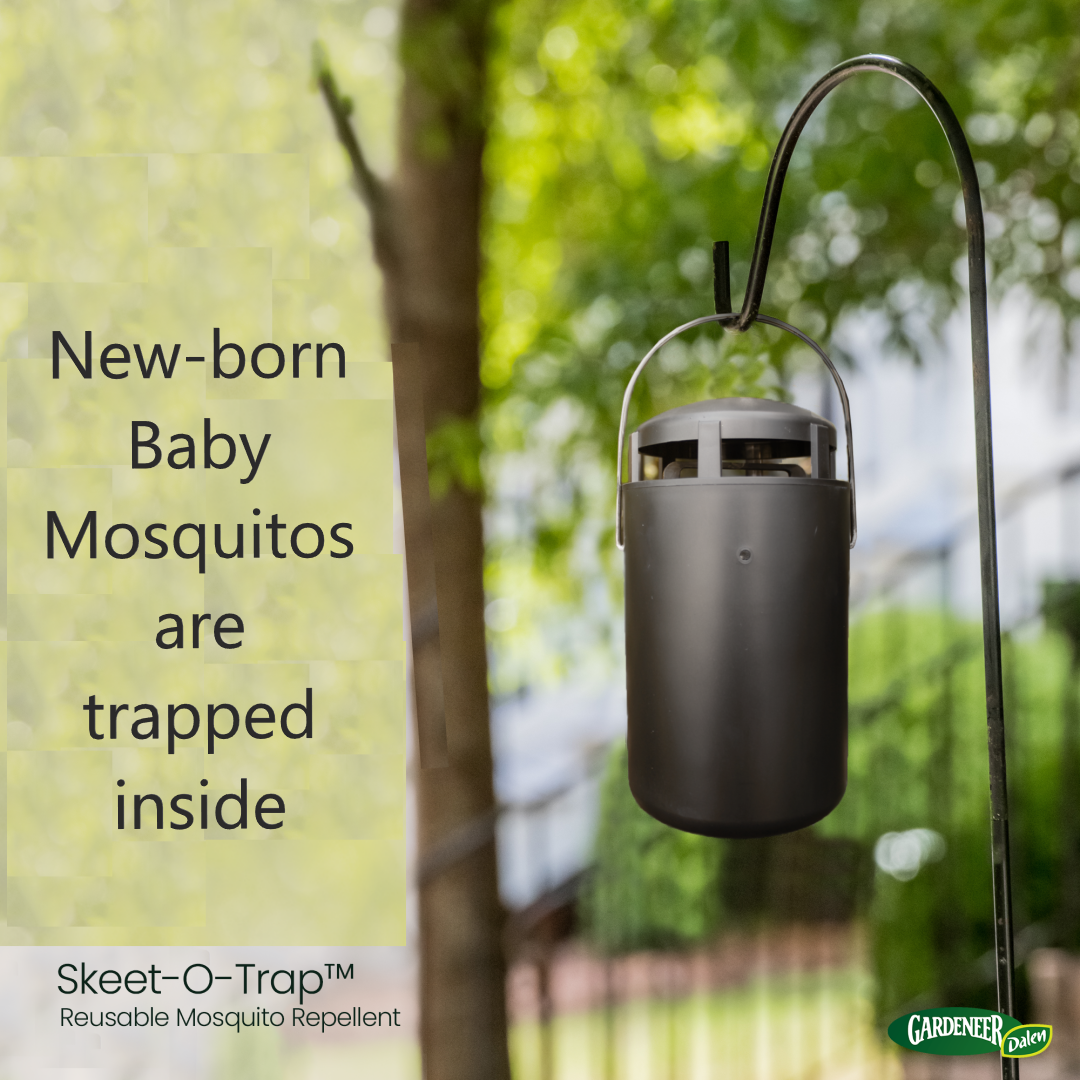 SKEET-O-TRAP Unique Mosquito Repellent Ovitrap for Yard or Garden ...