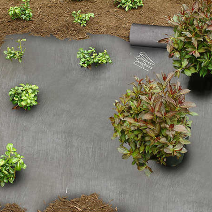 PRO-SHIELD - 3ft x 50ft Heavy Duty Hardscaping Fabric for Patios, Walk ...