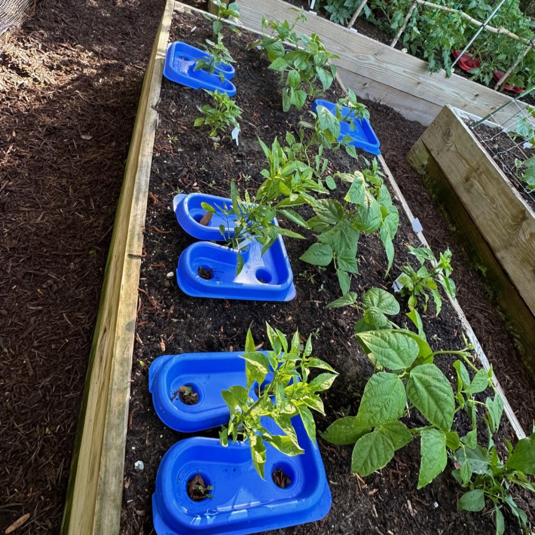 Automator Tomato Growth Trays - Square Foot Sun Reflector (Pack of 3 ...