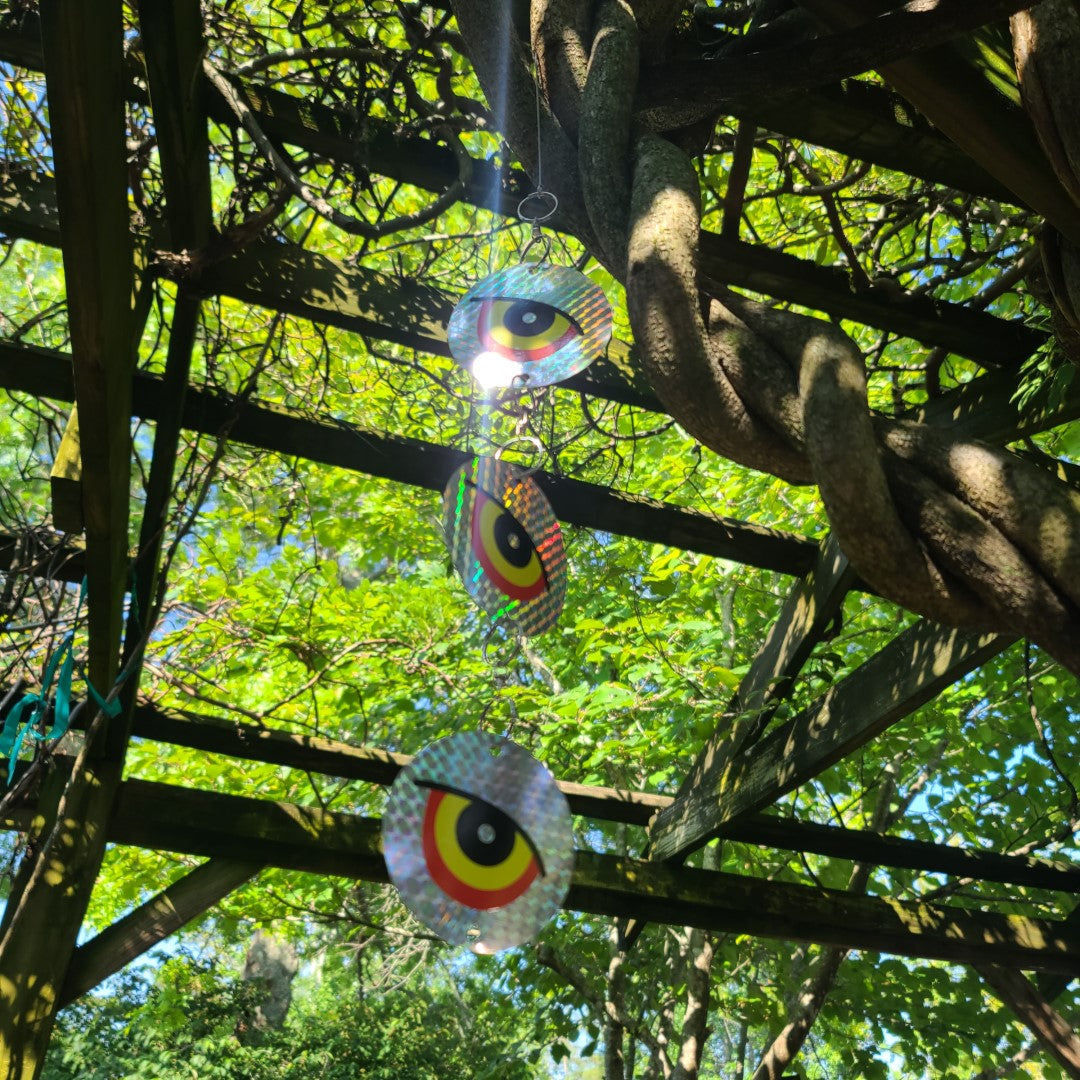 Guard'n Eye® Full Spectrum Reflective Hanging Disks (4 Pack) - Dalen