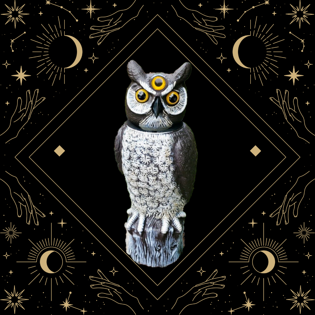 3-Eyed Large Rotating Head Scarecrow Decoy Owl - Dalen Products