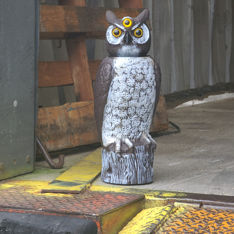 3-EYED OWL ™ - Dalen