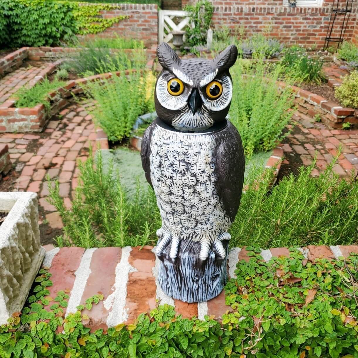 Dalen Products | Best Landscape and Garden Lawn Protection Owls & More