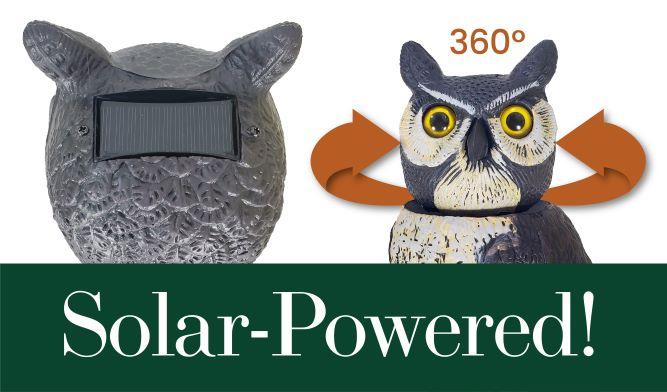 SOL-R Solar & Wind Power Owl Decoy - 18" Eco-Action Energy Scarecrow B ...
