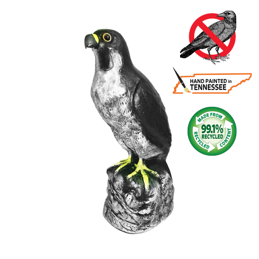 Peregrine Falcon Decoy - 15" Natural Enemy Scarecrow Bird - Dalen Products