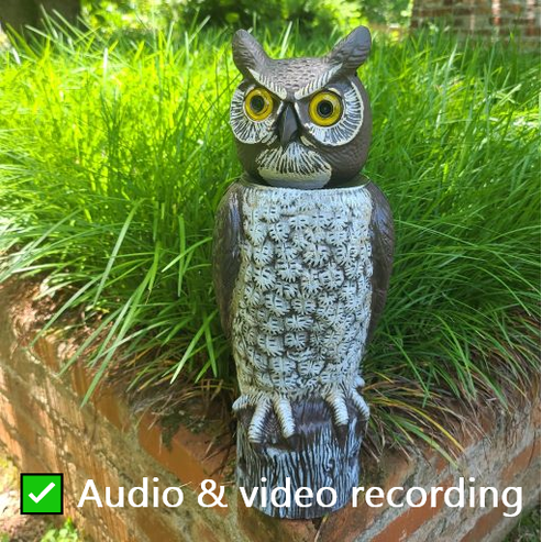 BIRD WATCHER Security Video & Audio Camera Surveillance Owl Decoy ...