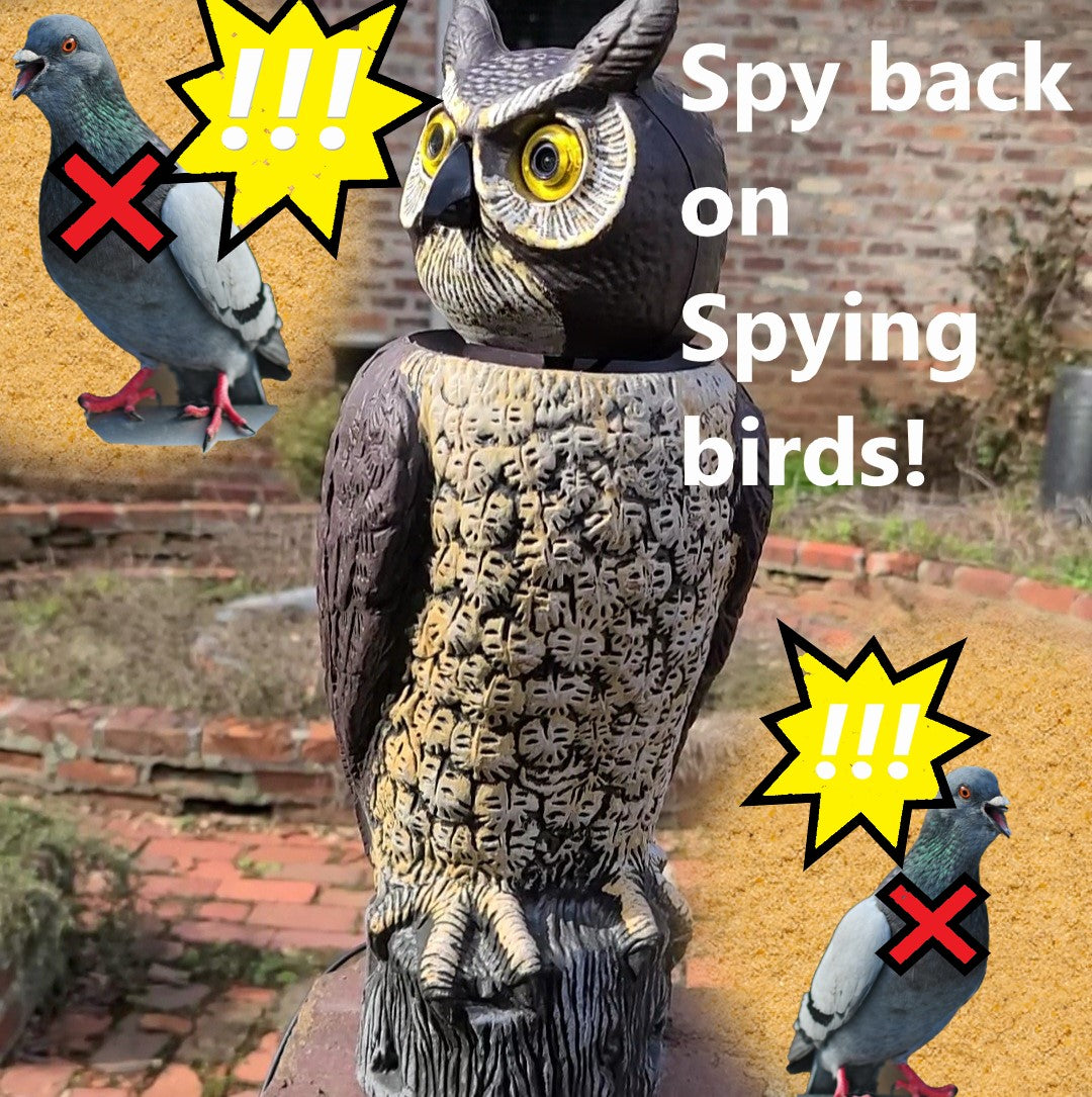 BIRD WATCHER Security Video & Audio Camera Surveillance Owl Decoy ...