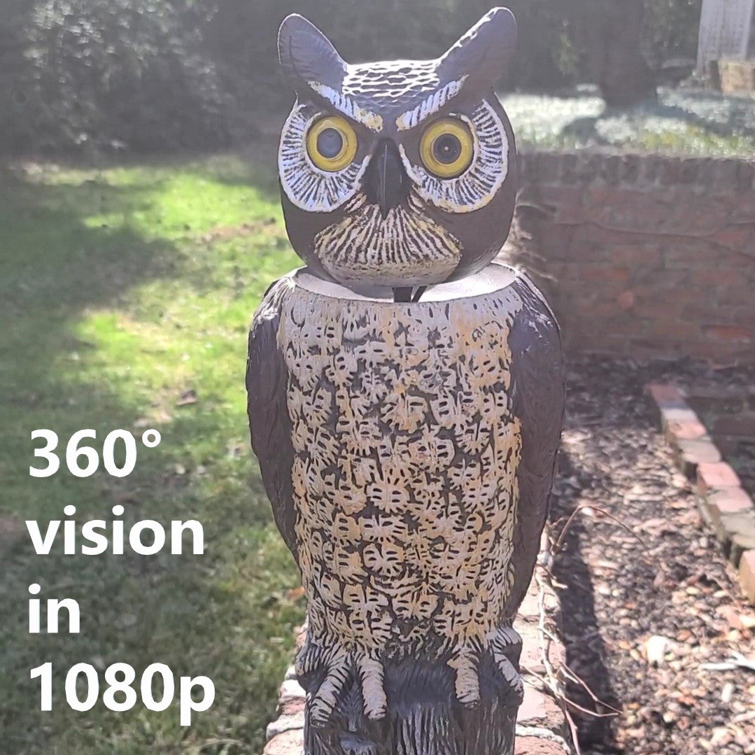 BIRD WATCHER™ Hidden Video Camera Surveillance Owl 360° Vision | Dalen ...