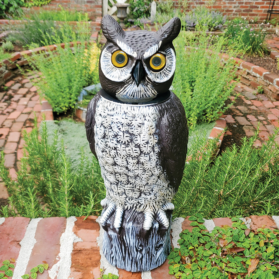 BIRD WATCHER™ Hidden Video Camera Surveillance Owl 360° Vision | Dalen ...