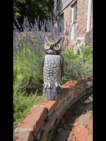BIRD WATCHER Security Video & Audio Camera Surveillance Owl Decoy ...