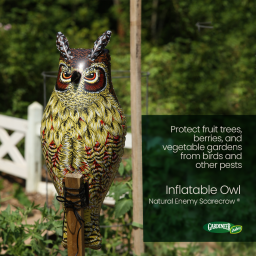 Inflatable Owl - 24" Natural Enemy Scarecrow to Deter Birds - Dalen ...