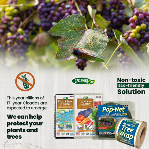 Tree Wrap Protective Gauze - Dalen