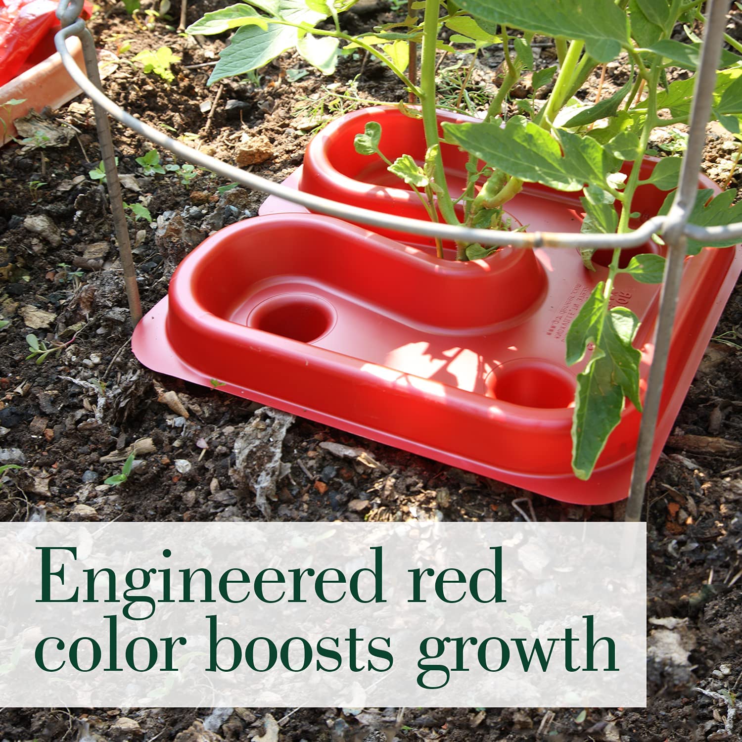 Automator Tomato Growth Trays - Square Foot Sun Reflector (Pack of 3 ...