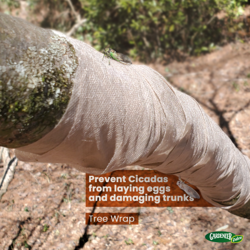 Tree Wrap Protective Gauze - Dalen