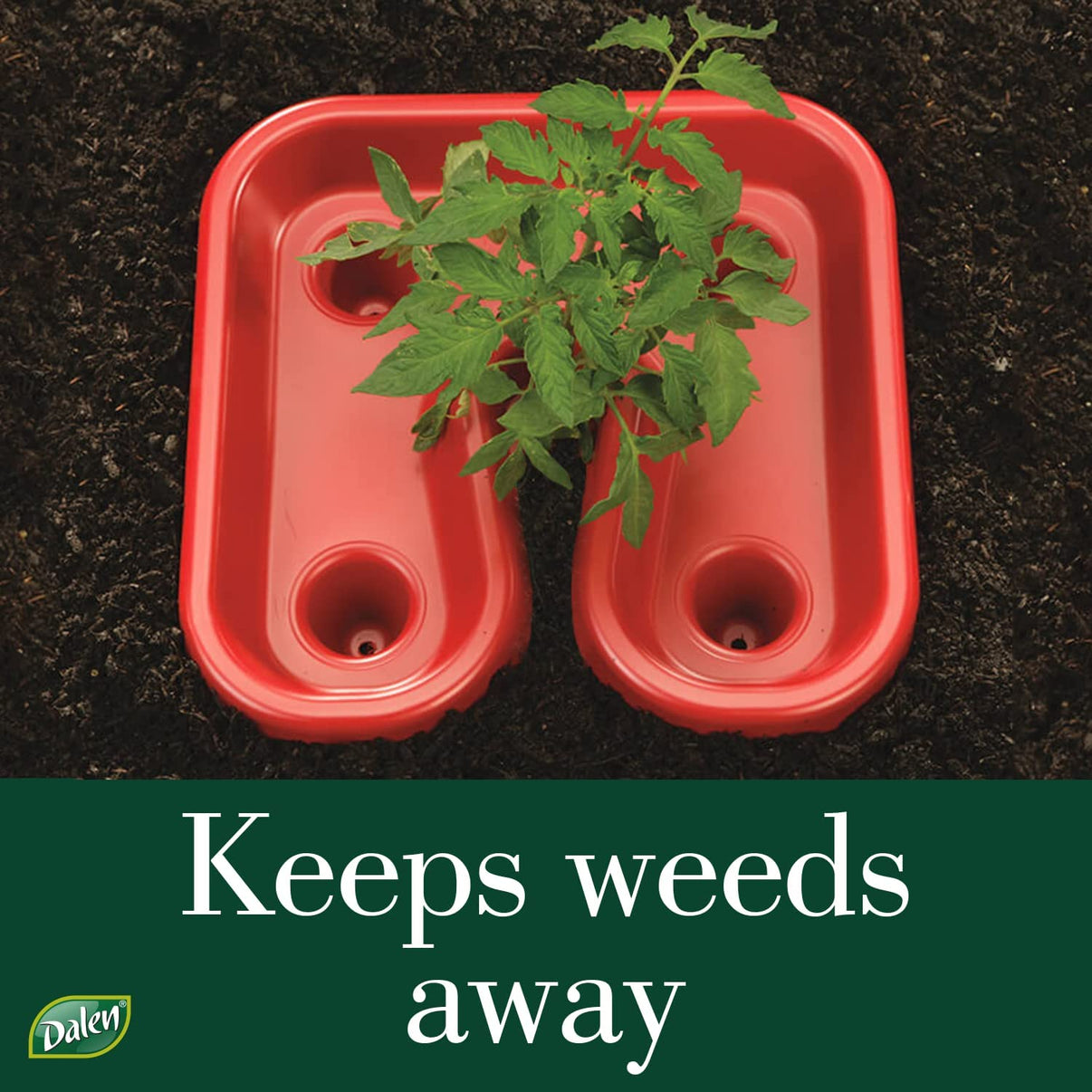 Automator Tomato Growth Trays - Square Foot Sun Reflector (Pack of 3 ...