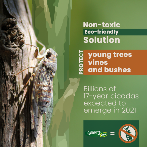 Tree Wrap Protective Gauze - Dalen